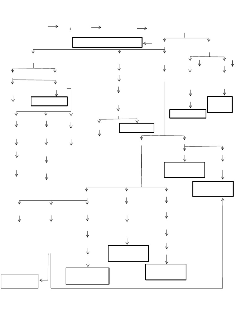 WOC Diabetes Melitus | PDF