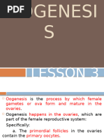 Oogenesis PPT-1 | PDF | Meiosis | Ovary