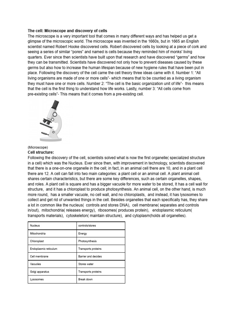 Microscope and Cell Discovery Overview | PDF | Mitosis | Cell (Biology)