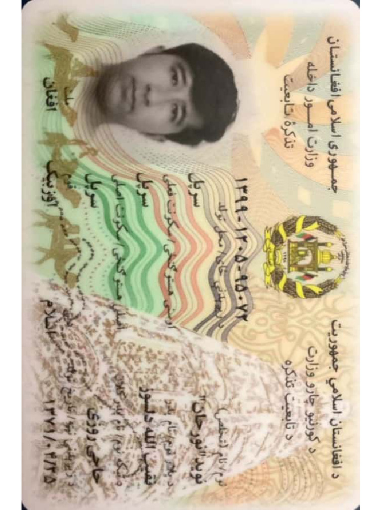 DR Nawed Noorhan | PDF