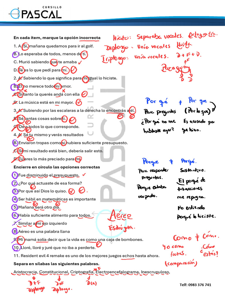 Ejercitario ortografía corrección_241009_194613 | PDF