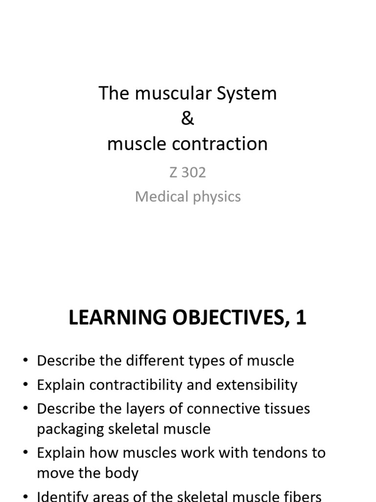The Muscular System-1 | PDF | Muscle Contraction | Neuromuscular Junction