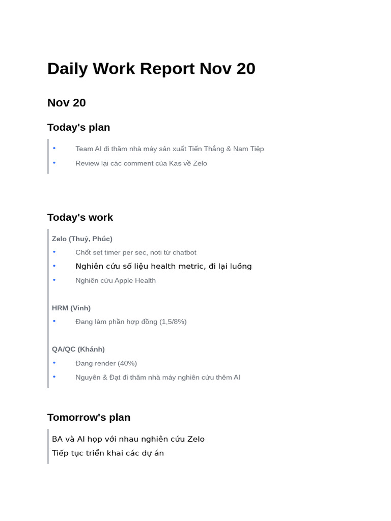 Daily Work Report Nov 20 | PDF