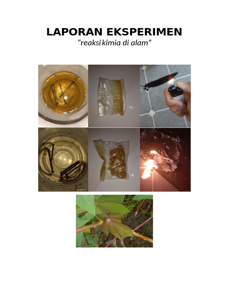 Laporan Eksperimen | PDF