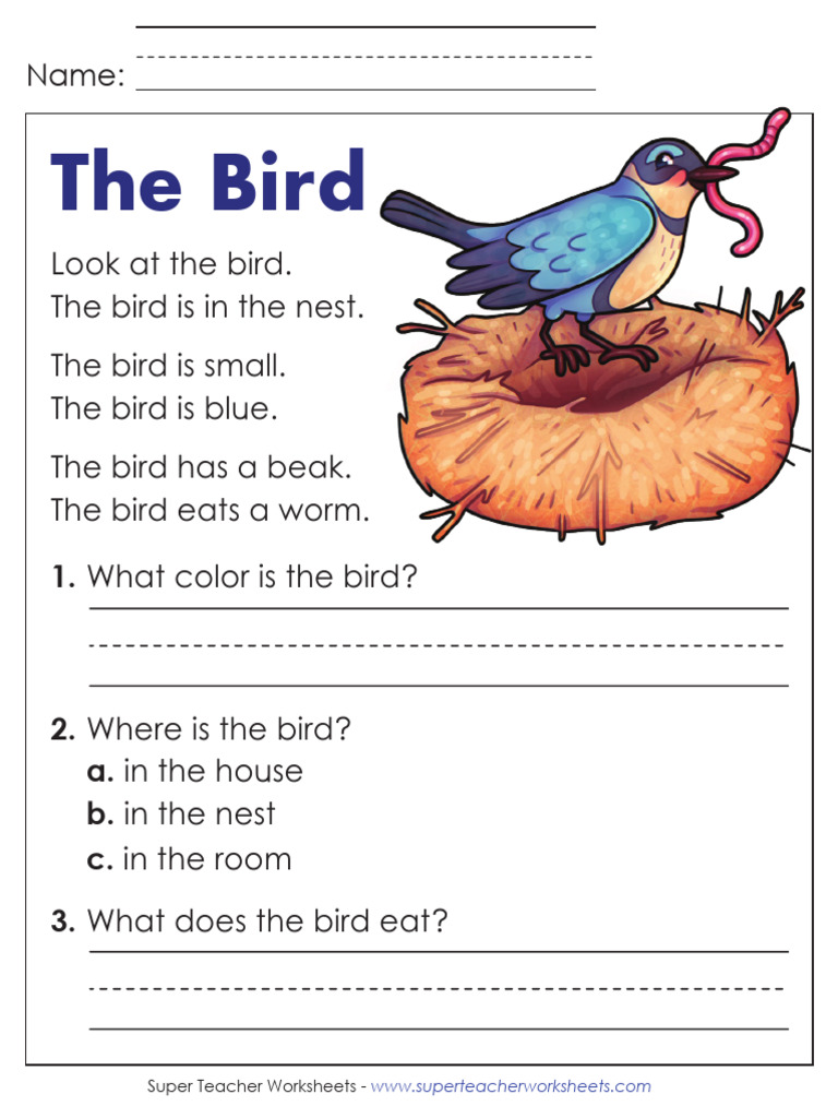 Bird Worksheet for Kids Activities | PDF