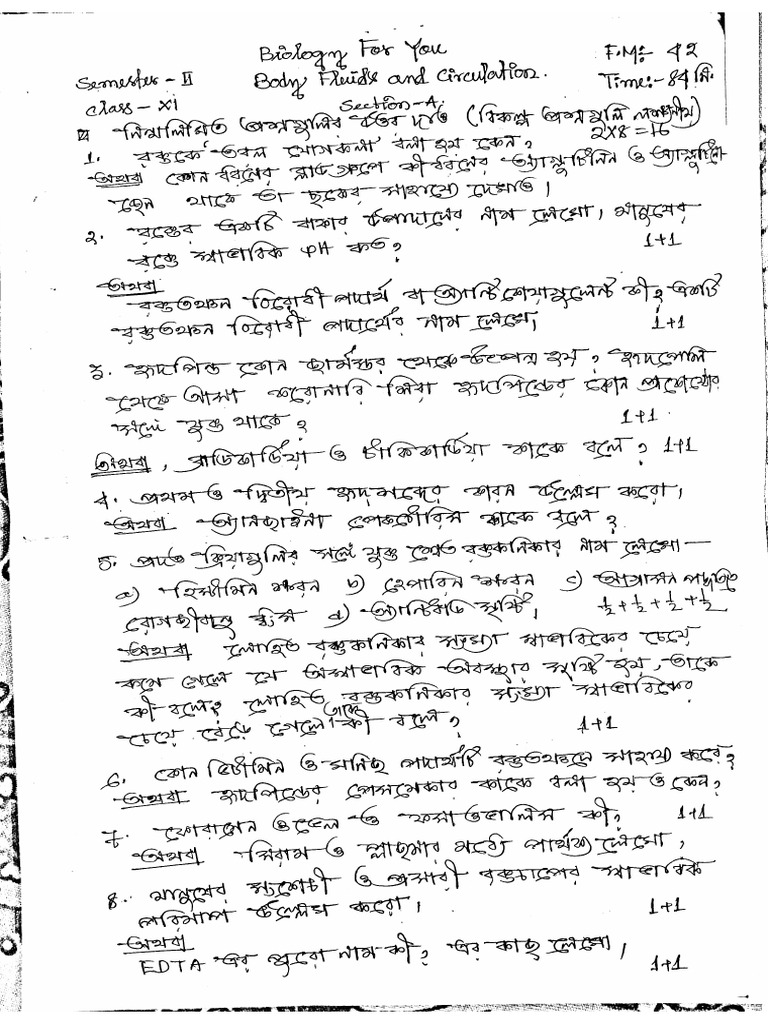 Doc Dec 03 2024 23.04 | PDF