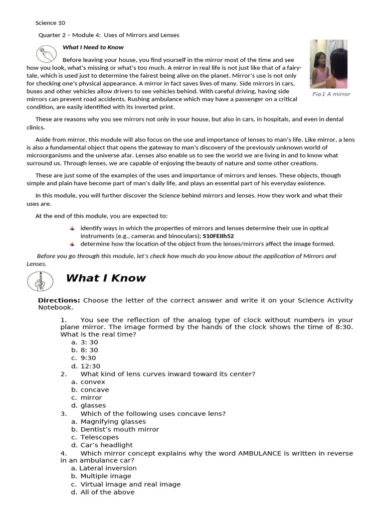 GRADE 10 LAS | PDF | Mirror | Optics