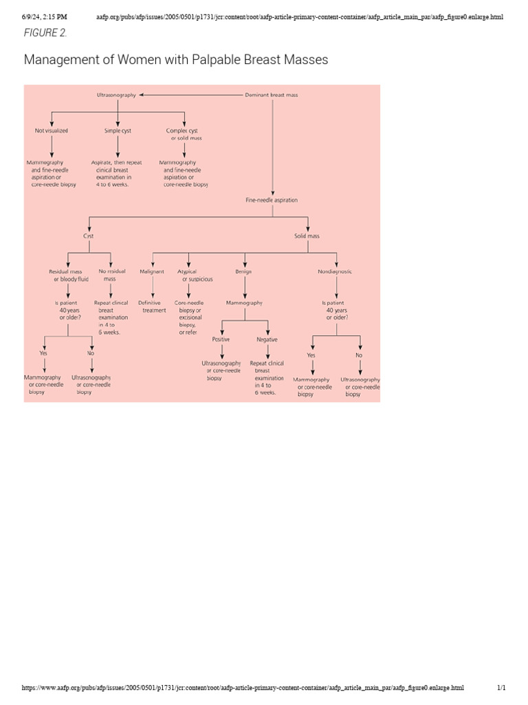 Breast Mass Management Guide | PDF