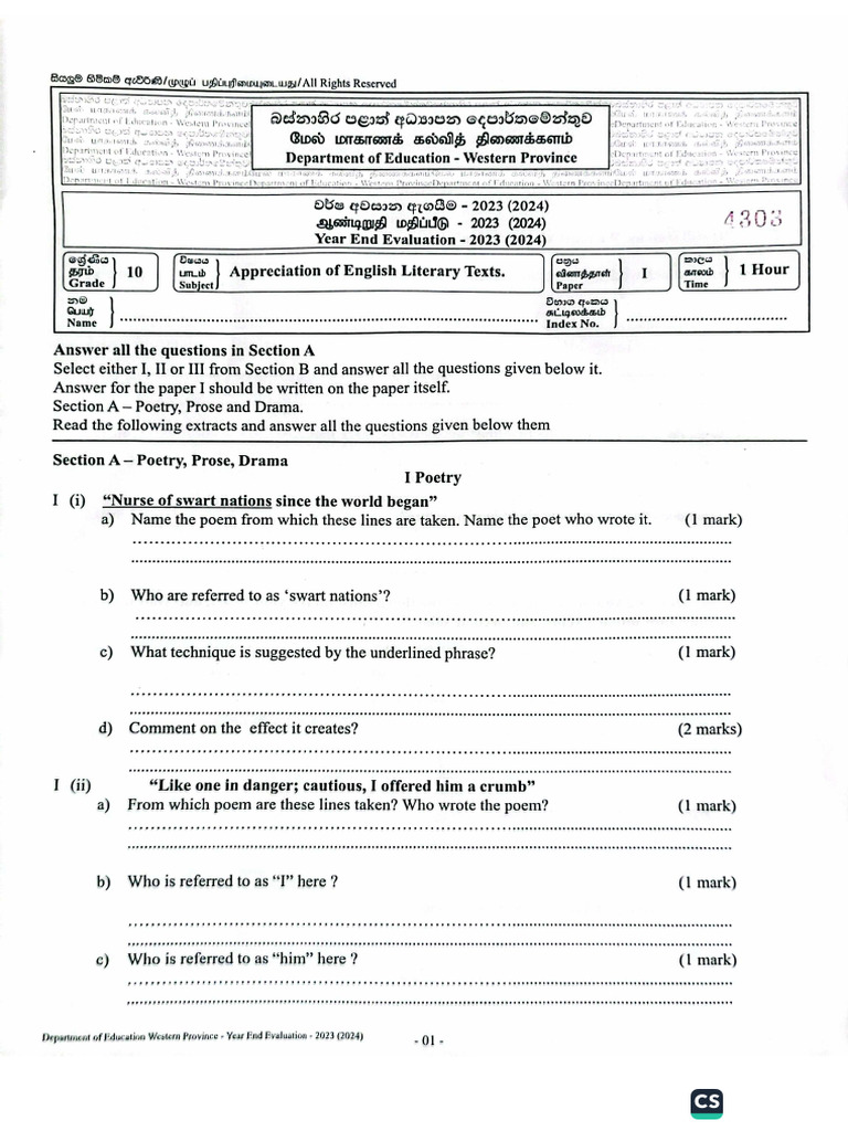 English Literature Grade 11 Third Term Test 2023 Western Province | PDF