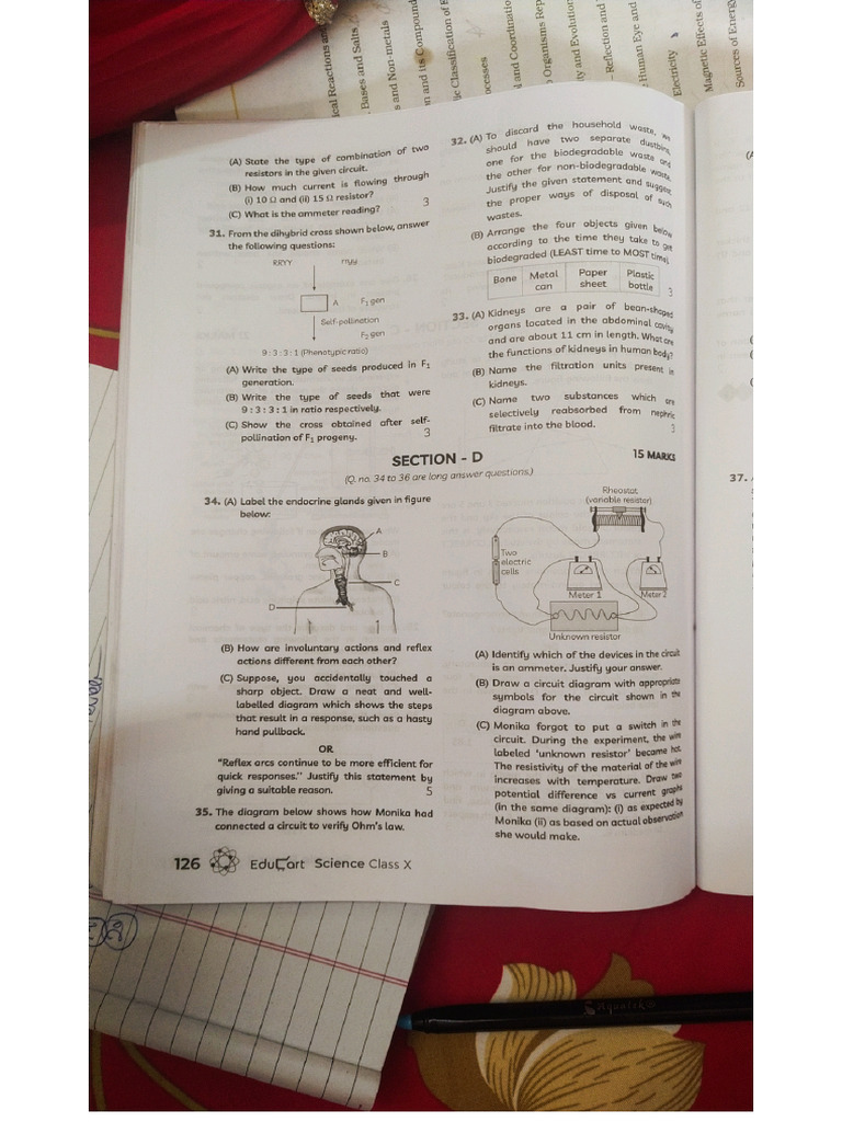 PDF Gallery - 20250119 - 101546 | PDF