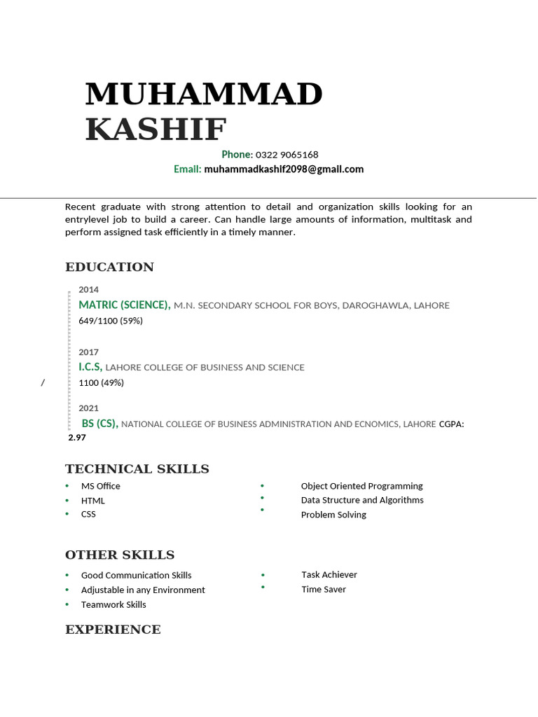 M.Kashif CV | PDF