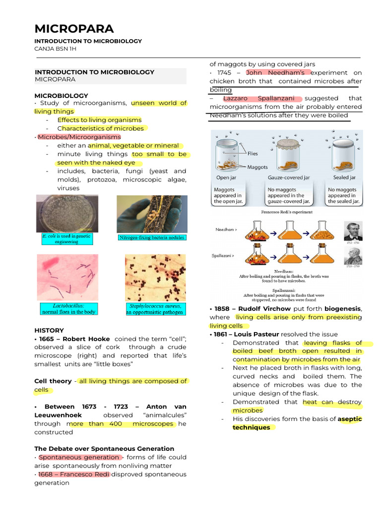 Introduction to Microbiology Overview | PDF | Bacteria | Microbiology