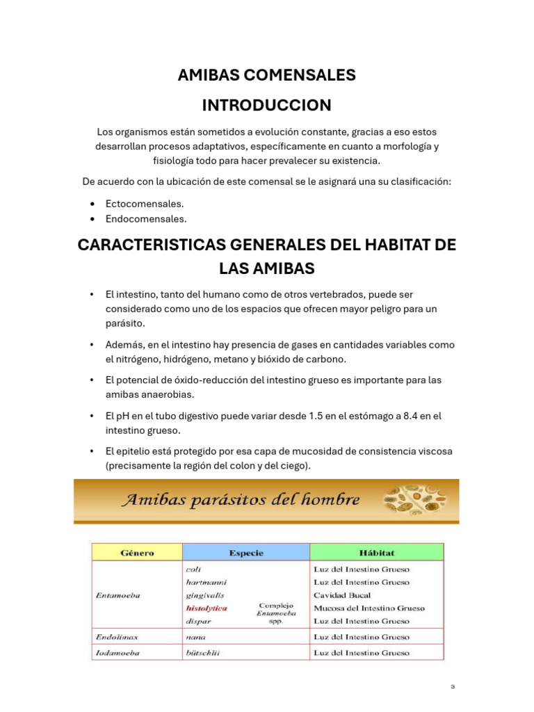 Amibas Comensales | PDF
