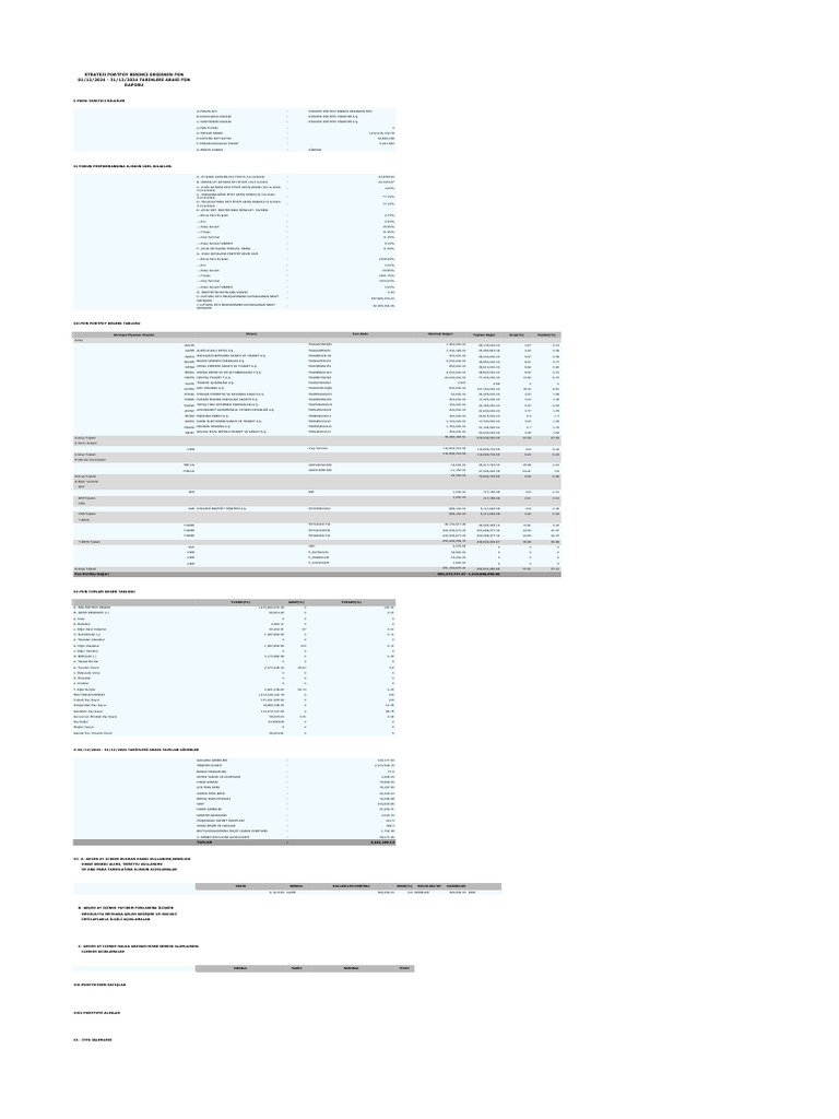 AN1 Fon Aral_k 2024 Ayl_k Raporu | PDF