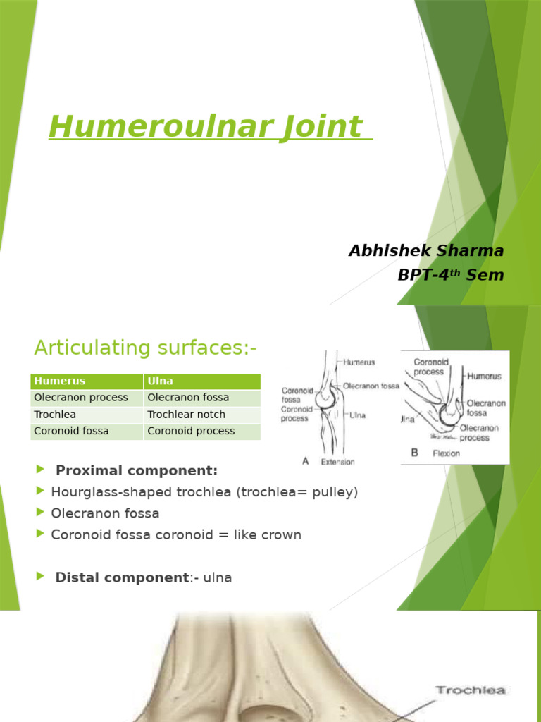 Humeroulnar Joint | PDF