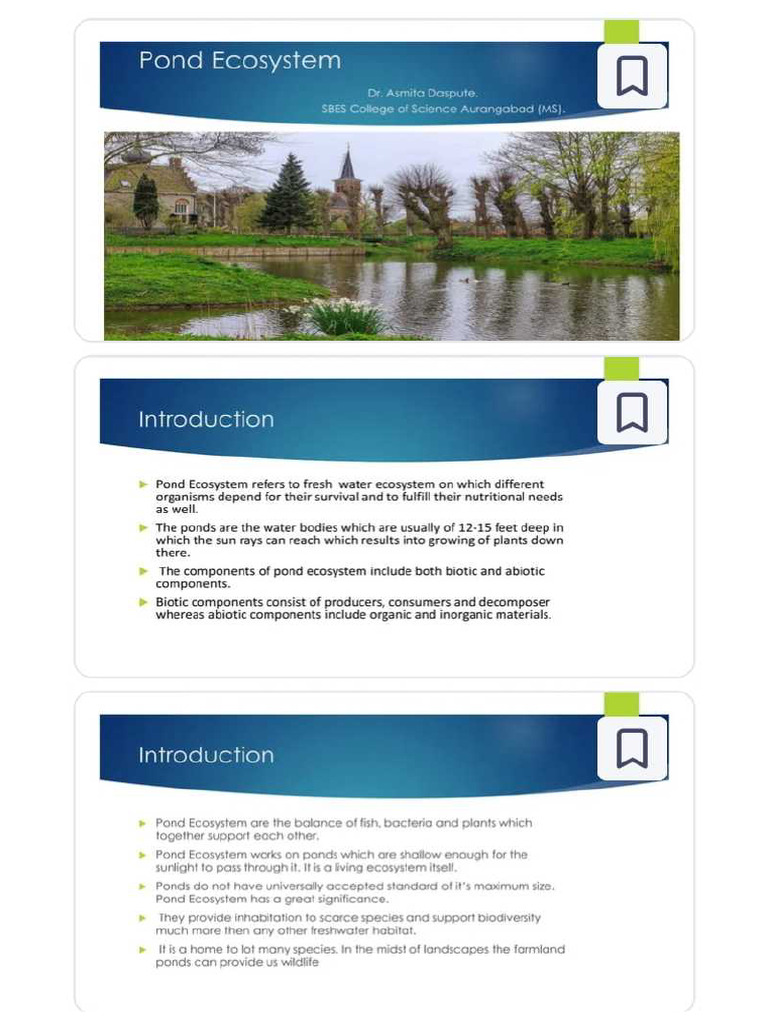 Pond Ecosystem | PDF