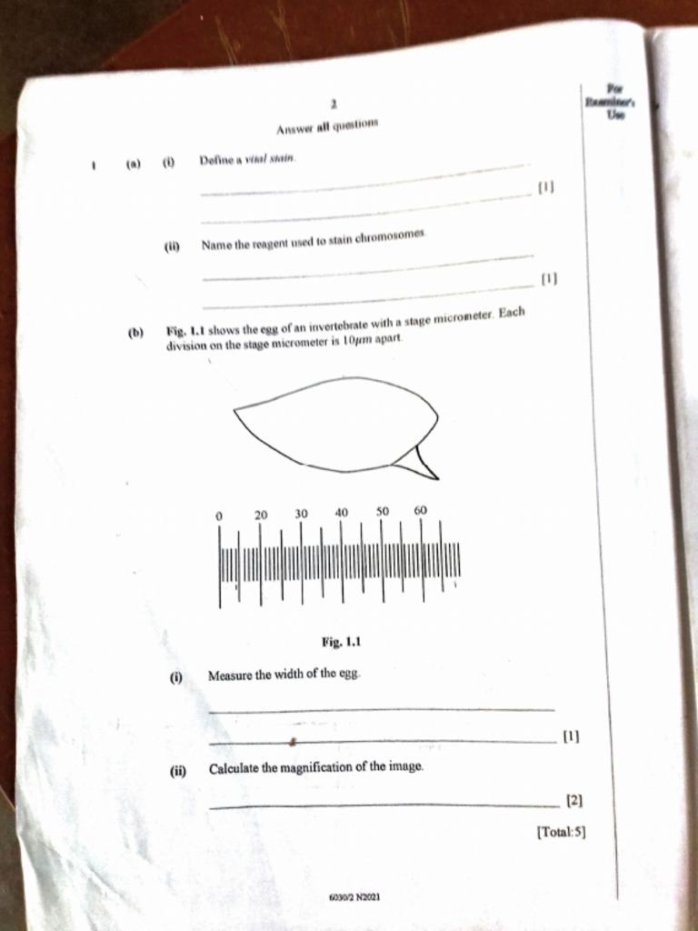 2021 Bio p2-BxUot | PDF