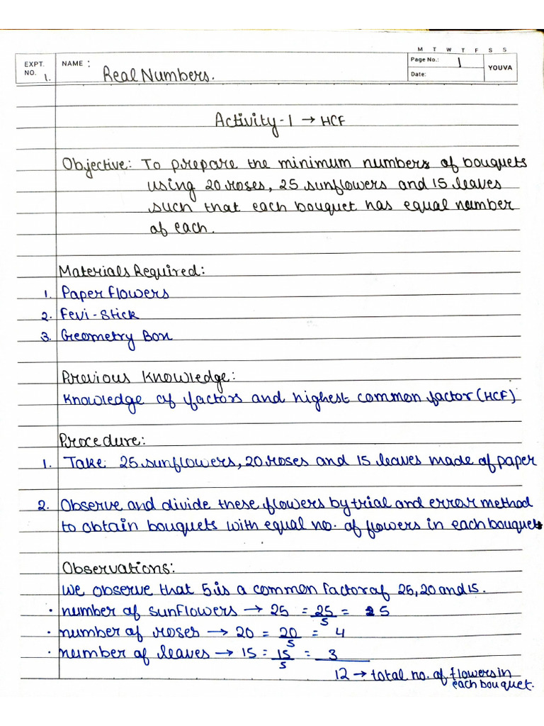 Practicals Class X Maths | PDF