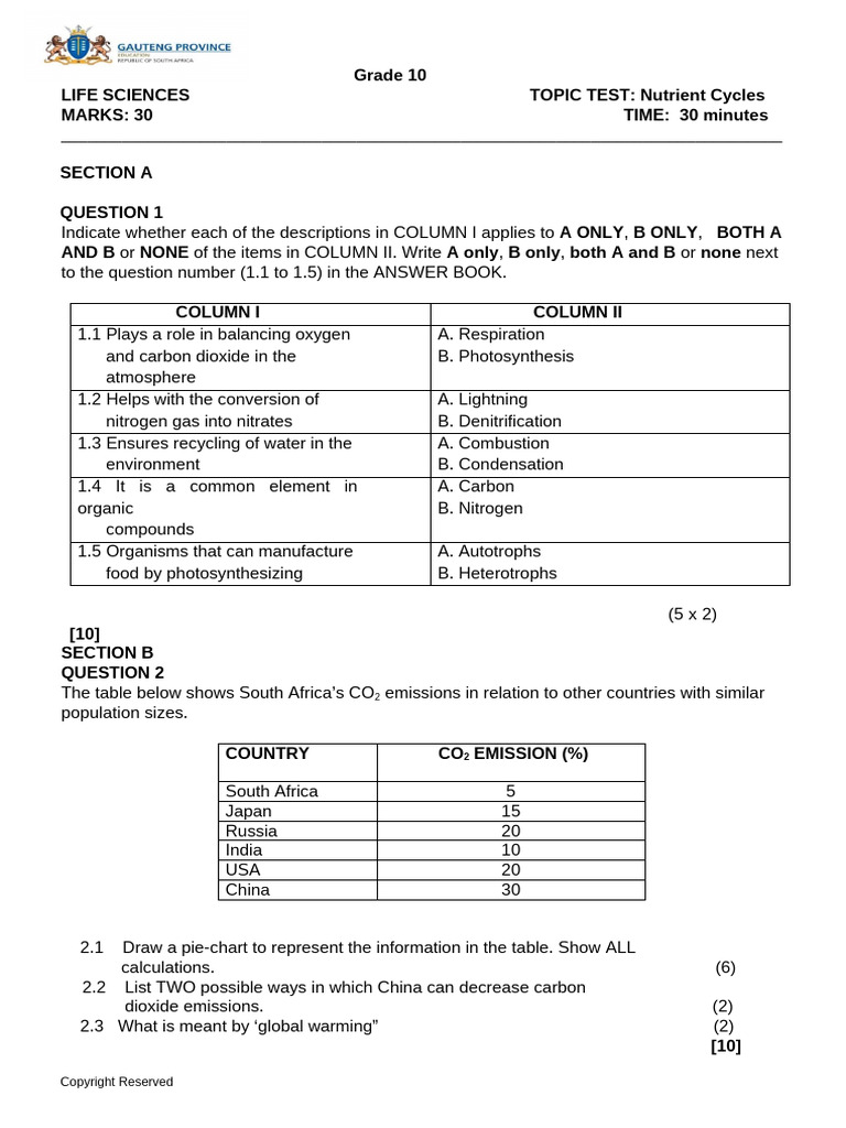 Gr.10 Topic Test Nutrient Cycles | PDF | Carbon Dioxide | Soil