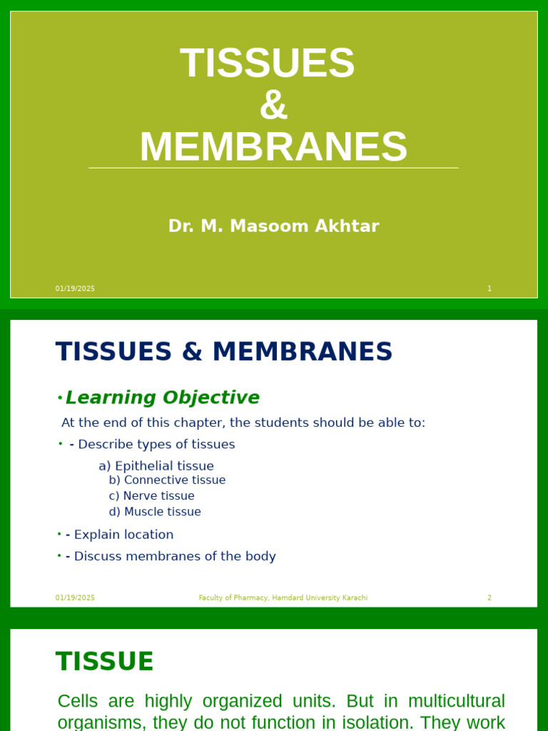 Lecture-3-TISSUES & MEMBRANES | PDF | Connective Tissue | Epithelium