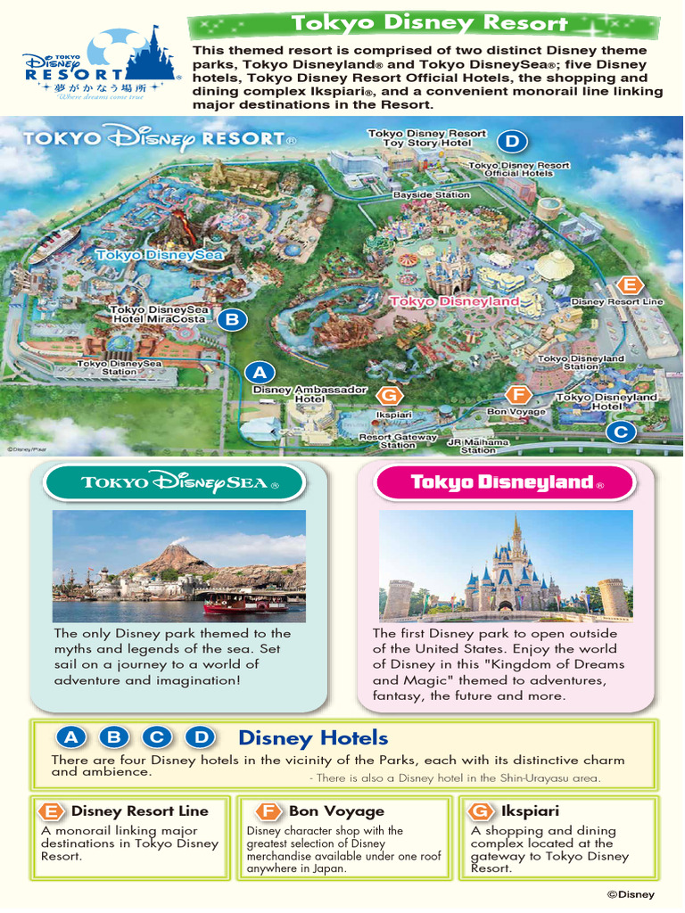 En TDR Specialguide | PDF