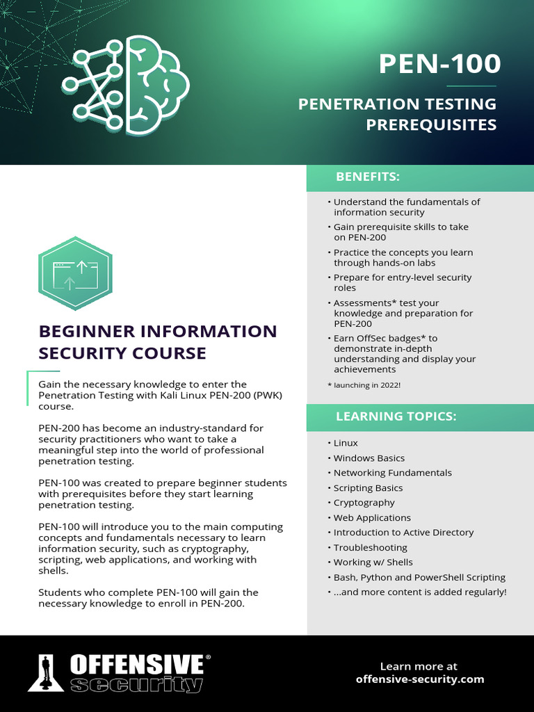 Pen 100 | PDF | Penetration Test | Software
