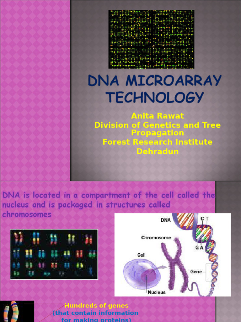 DNA Microarray Technology Final 97-2003 | PDF | Complementary Dna | Gene