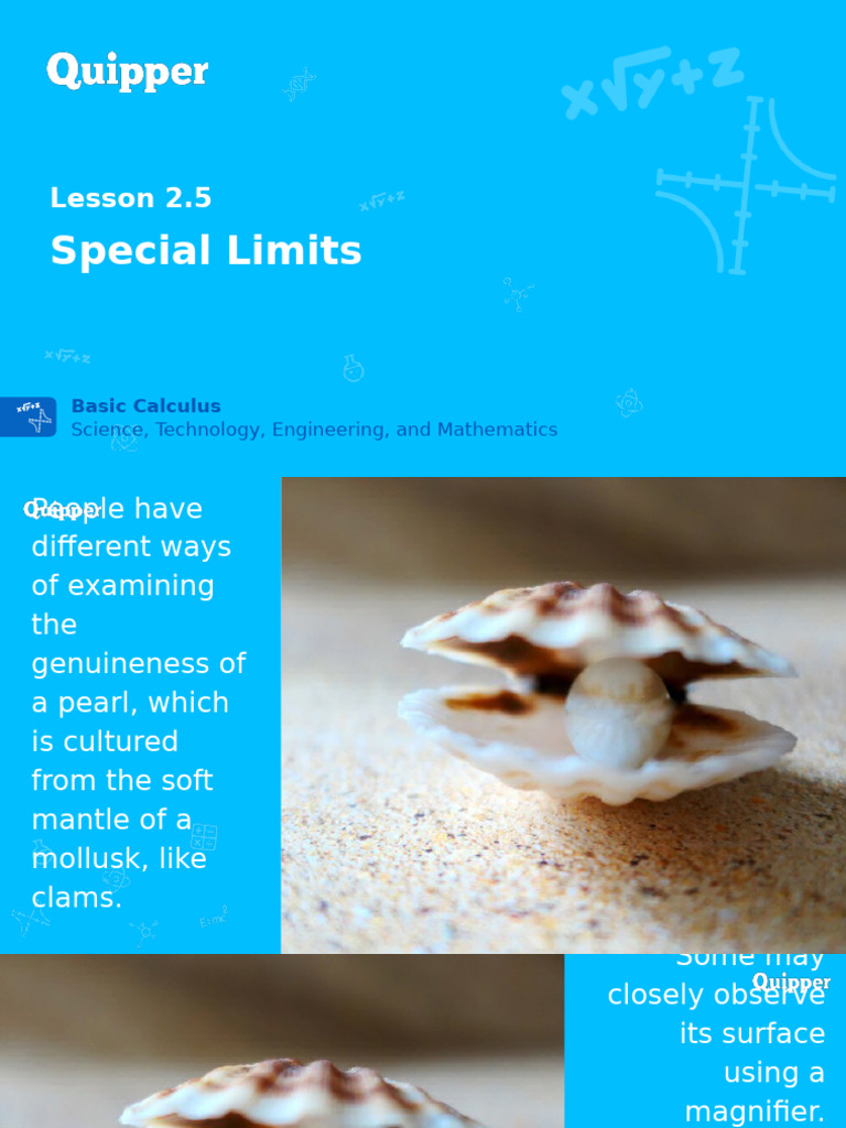 Evaluating Special Limits in Calculus | PDF | Function (Mathematics ...