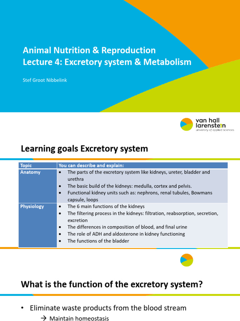 2022 Lecture 5 - Metabolism and Excretory System 2022-2023 | PDF ...