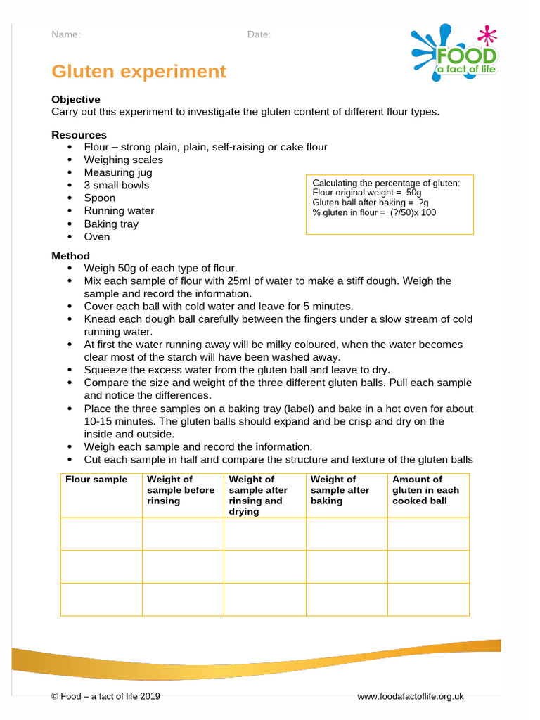 Gluten Experiment Ws 1114c2 | PDF