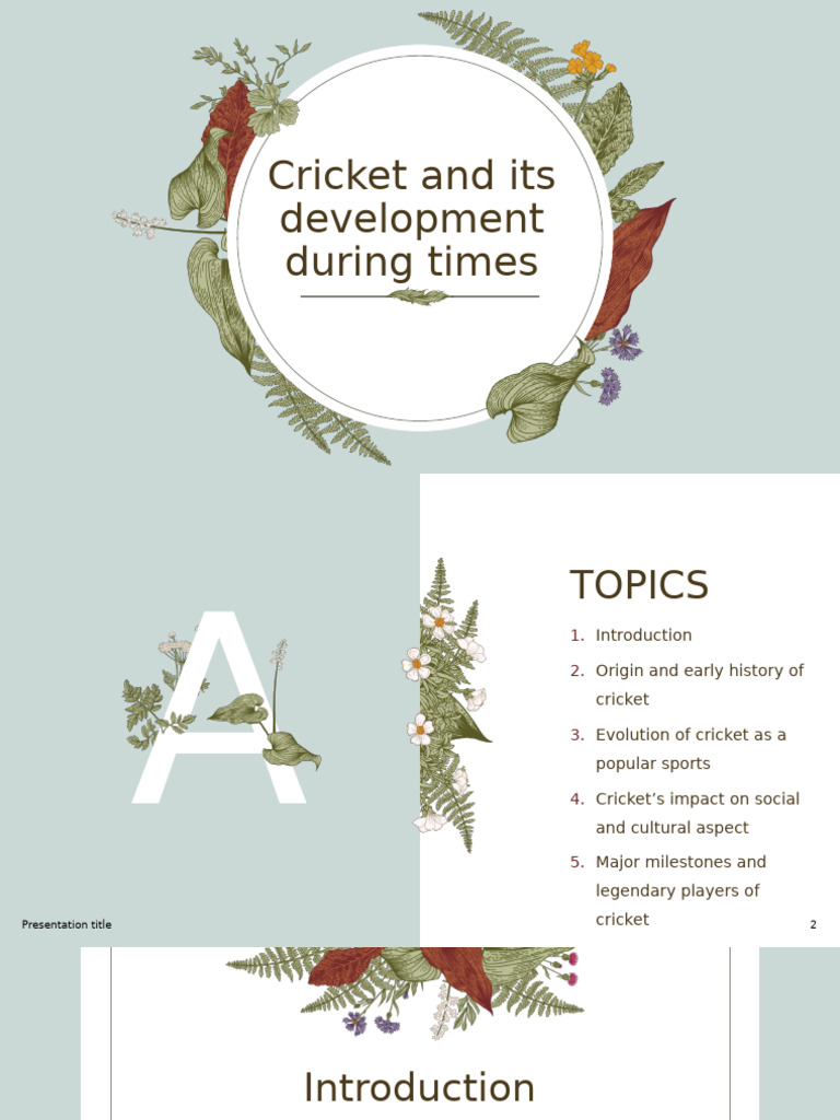 CRICKET | PDF | Cricket | Sports