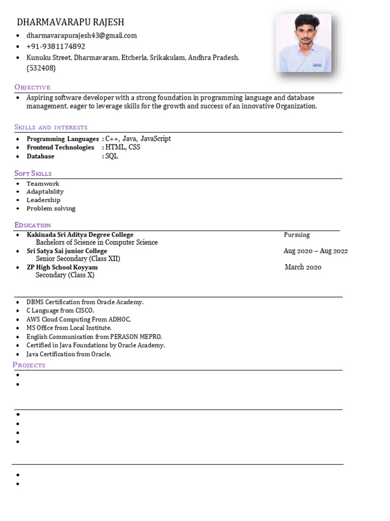 Aspiring Software Developer Resume | PDF
