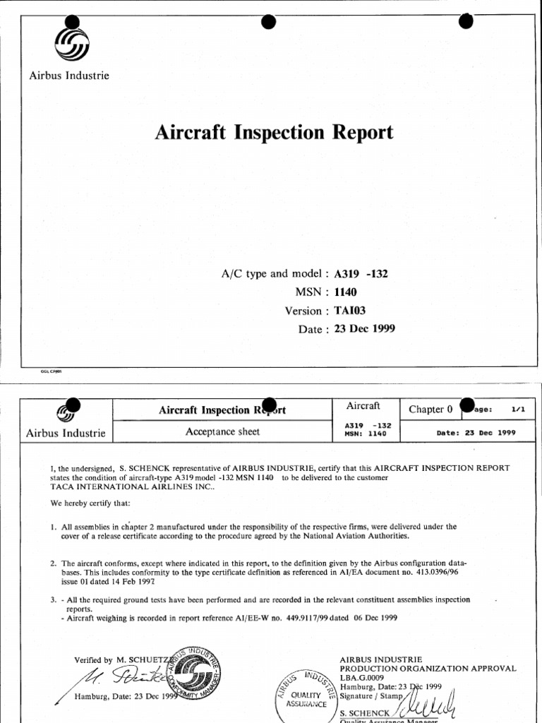 A319-132 Aircraft Inspection Report | PDF | Airliner | Airbus