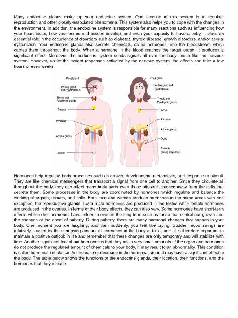 Many endocrine glands make up your endocrine system | PDF | Endocrine System | Hormone