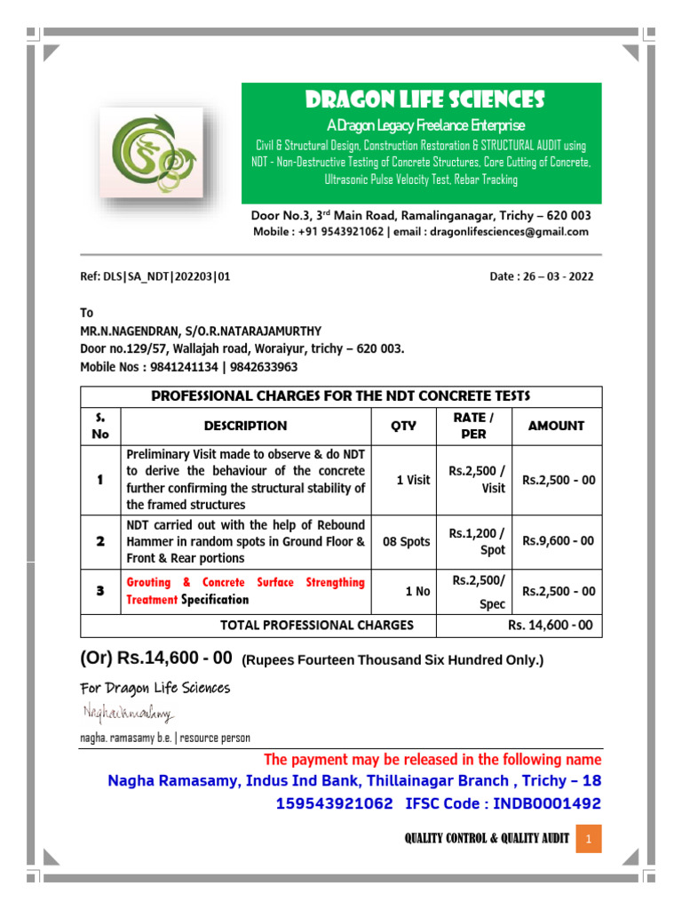 Structural Audit Services Invoice | PDF | Nondestructive Testing | Concrete