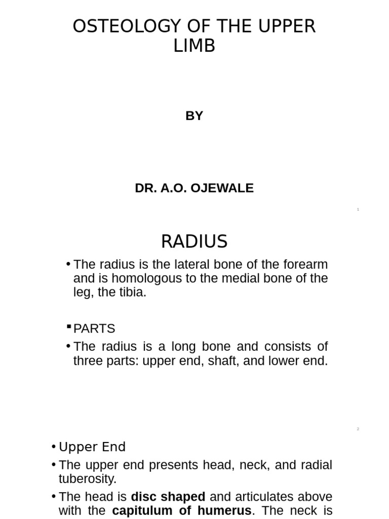 Osteology of The Rad & Ulna | PDF | Limbs (Anatomy) | Musculoskeletal ...