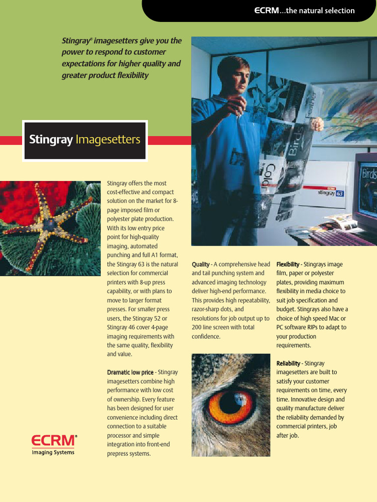 Ecrm Stingray 46 52 63 20171009155933 | PDF | Printer (Computing)