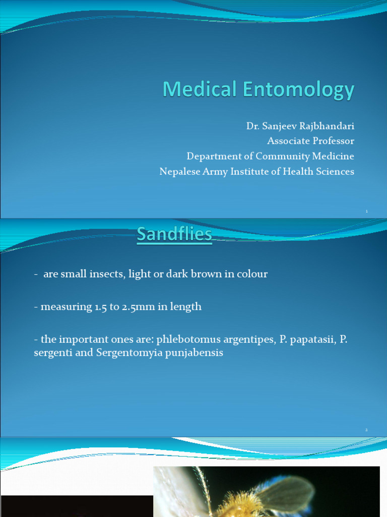 sandfly scabies mites hous | PDF | Pupa