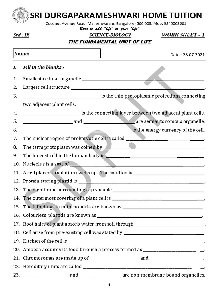 IX std bio worksheet - 1 | PDF | Cell (Biology) | Chloroplast