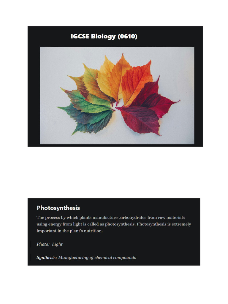 Year 9 Photosynthesis 2 | PDF