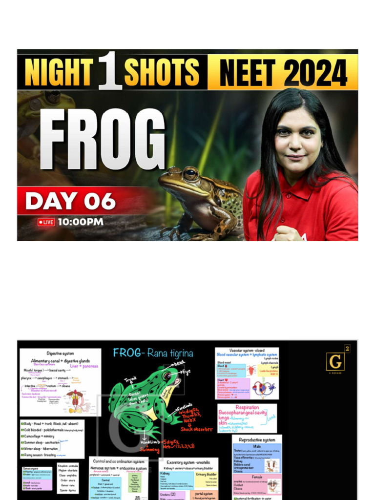 Frog By Garima amam | PDF