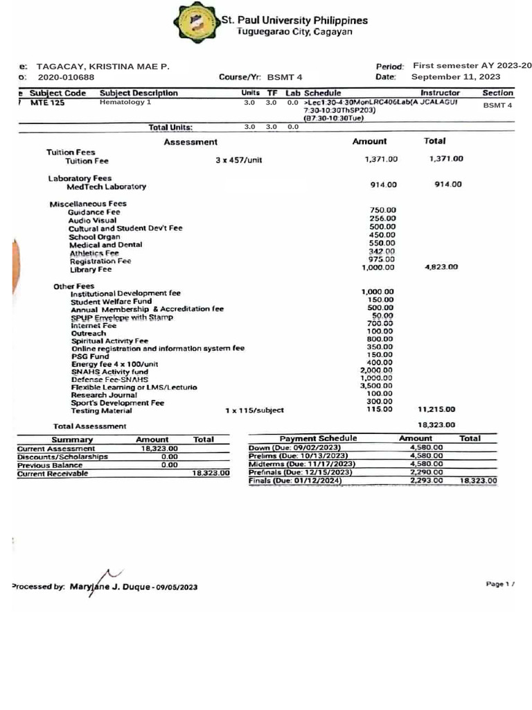 aseesment bsmt | PDF