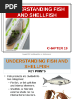 One Fish Two Fish Addition Mat | PDF