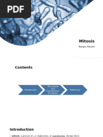 Mnemonics For Cycle Cell and Division | PDF