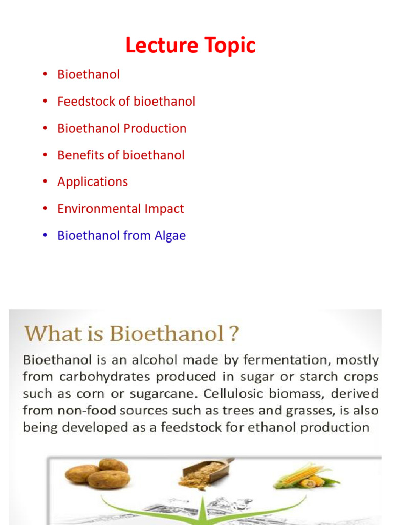 Bio Ethanol | PDF | Ethanol | Ethanol Fuel