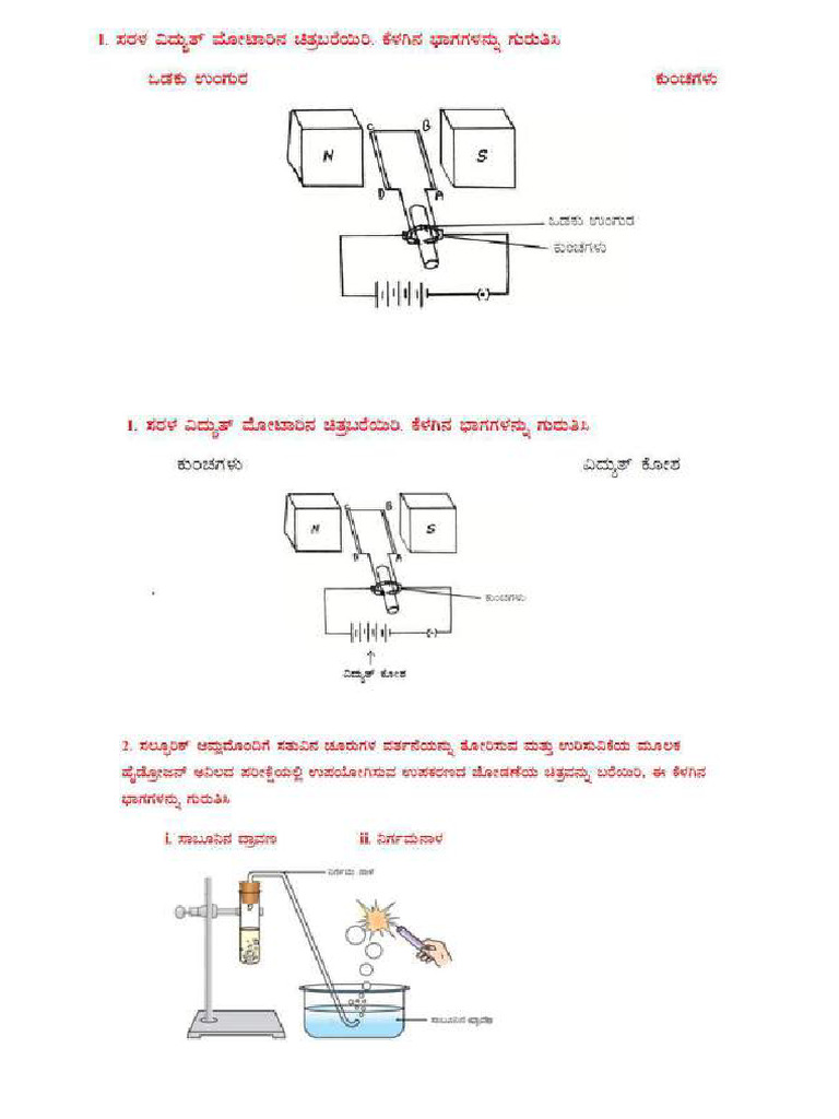 Important Science Diagrams For SSLC Exam | PDF