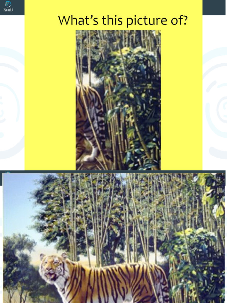 Bartletts Theory of Reconstructive Memory | PDF | Schema (Psychology ...