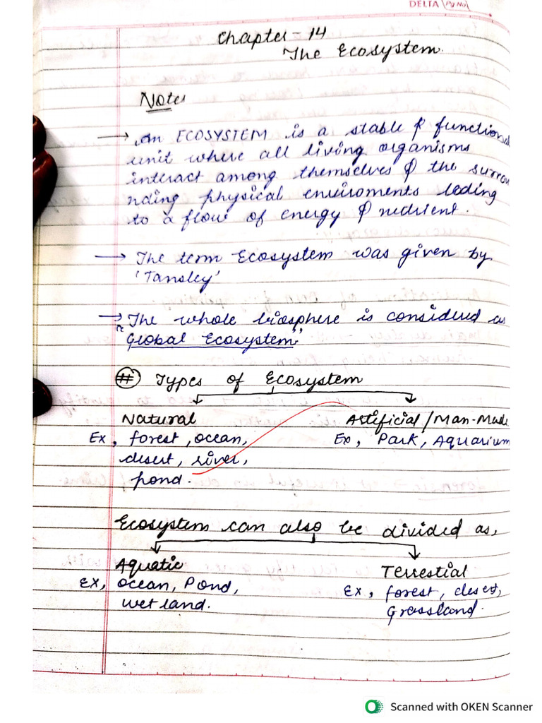 Ecosystem HJHJ | PDF