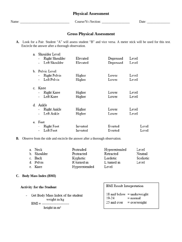 Gross Physical Assessment | PDF