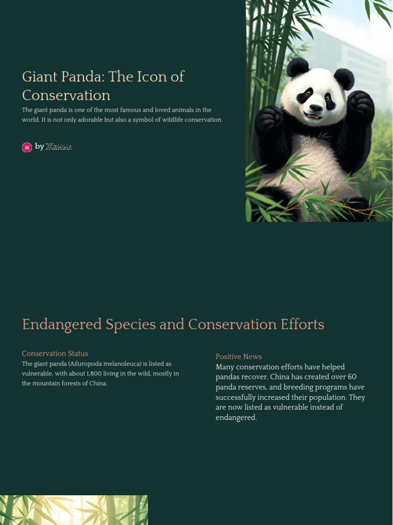 Doc-20250110-Wa0000. 20250110 175431 0000 | PDF | Giant Panda ...